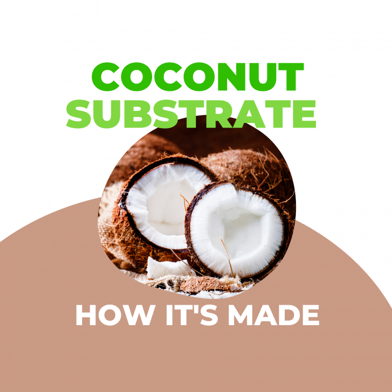 Coconut coir vs Peat moss and Rockwool - LUCKY PLANTS