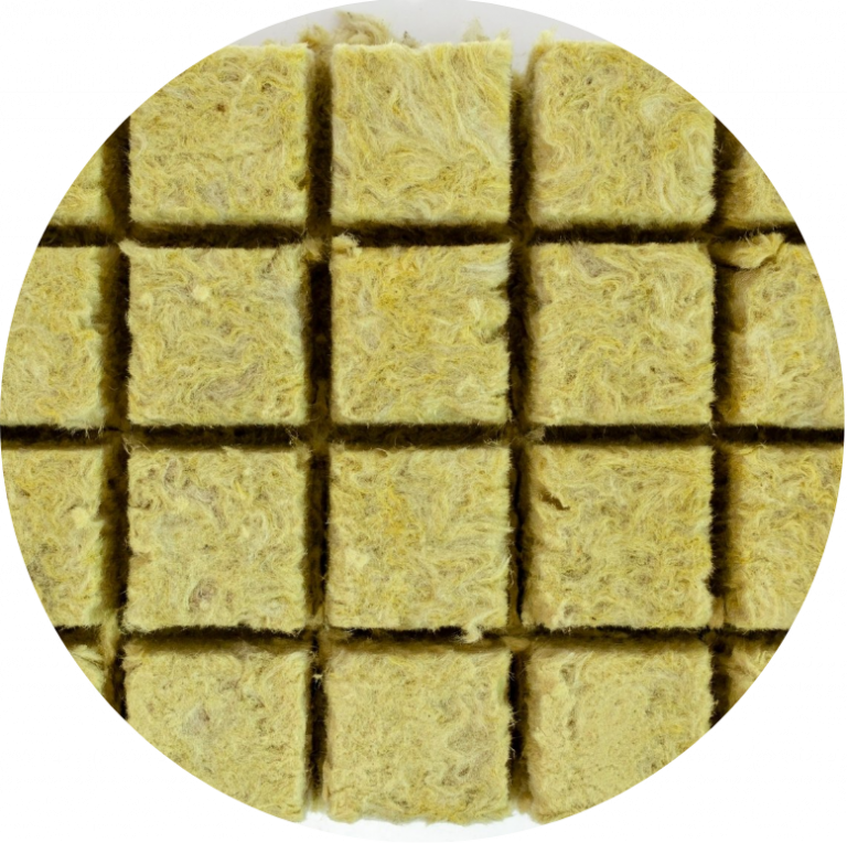 Coconut coir vs Peat moss and Rockwool - LUCKY PLANTS